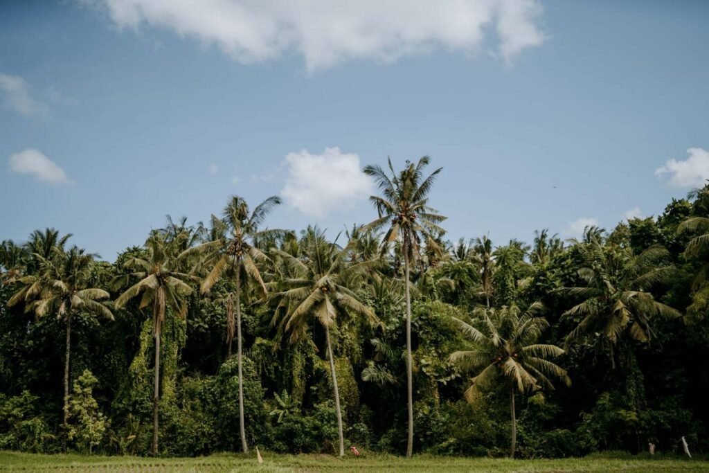 SARA & RIZAL - SETIA DARMA HOUSE UBUD - Sweet Summer Bali