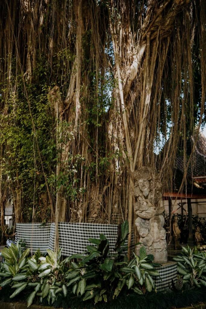 SARA & RIZAL - SETIA DARMA HOUSE UBUD - Sweet Summer Bali